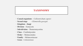 Anthracnose of cotton _Baishali Mohanta(2119).pptx