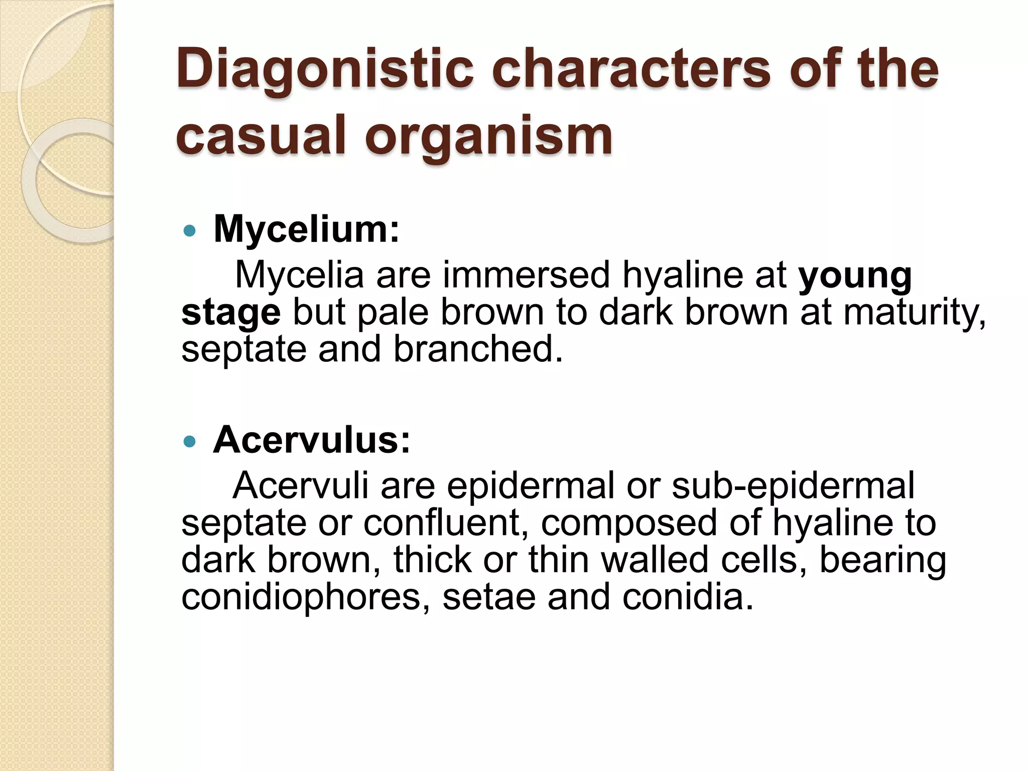 Anthracnose of jute prentation | PPTX