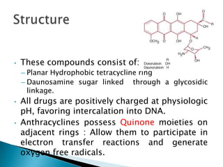 Anthracyclines dr. varun | PPTX
