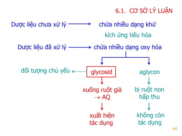 Anthranoid va duoc lieu chua anthranoid | PDF