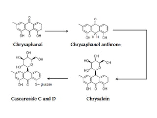Anthraquinone glycosides | PPTX
