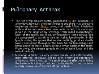 Anthrax Inhalation Lung Tissue Sample