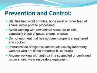 Anthrax | PPTX