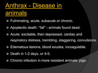 Anthrax | PPTX