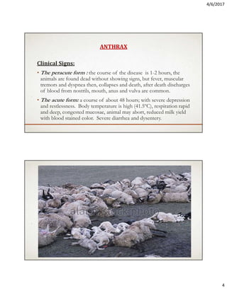 Anthrax | PDF