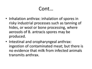 Anthrax | PPTX | Infectious Diseases | Diseases and Conditions