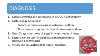 Anthrax | PPT