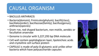 Anthrax | PPT