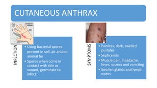 Anthrax | PPTX