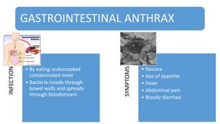 Anthrax | PPT