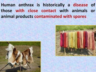 Anthrax | PPTX