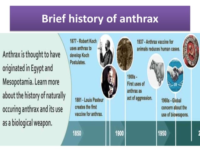 Anthrax | PPTX | Infectious Diseases | Diseases and Conditions