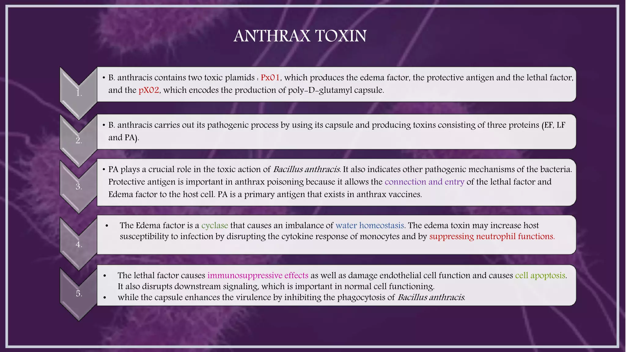 Anthrax | PPTX