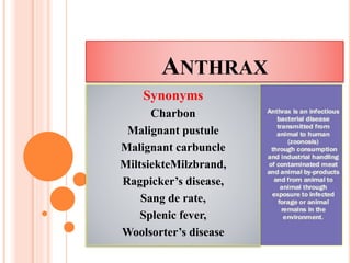 Anthrax.ppt