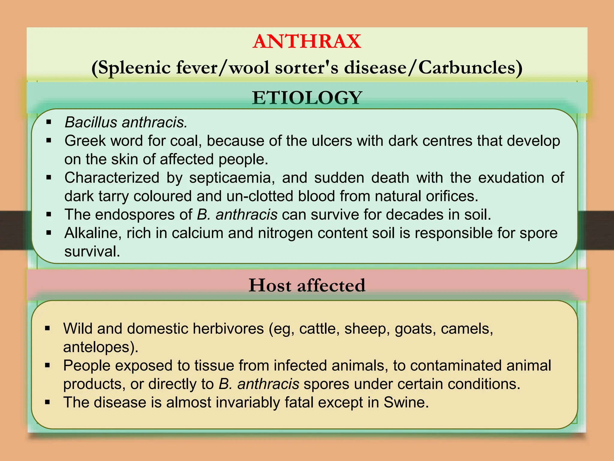 ANTHRAX.pptx animal disease highly contagious | PPTX