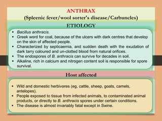 ANTHRAX.pptx animal disease highly contagious | PPTX | Infectious ...