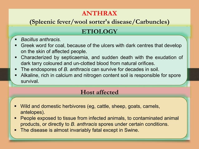 ANTHRAX.pptx animal disease highly contagious | PPTX | Infectious ...