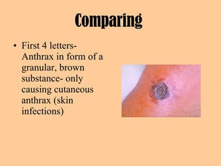 Anthrax Attacks | PPT