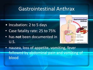 Anthrax | PPTX