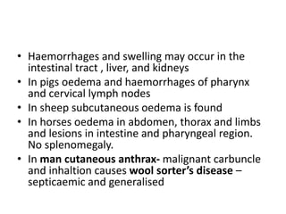 Anthrax,Actinomycosis,Actinobacillosis.pptx