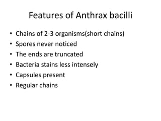 Anthrax,Actinomycosis,Actinobacillosis.pptx