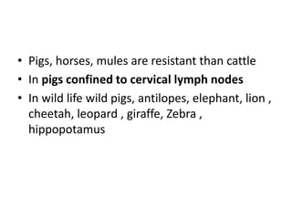 Anthrax,Actinomycosis,Actinobacillosis.pptx