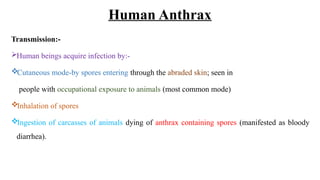 All Paramedical, Nursing and MBBS Courses/Gram Positive BACILLI ...