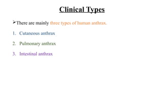 All Paramedical, Nursing and MBBS Courses/Gram Positive BACILLI ...