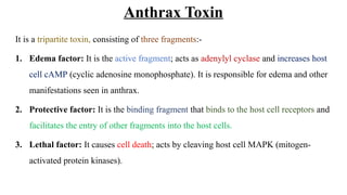All Paramedical, Nursing and MBBS Courses/Gram Positive BACILLI ...