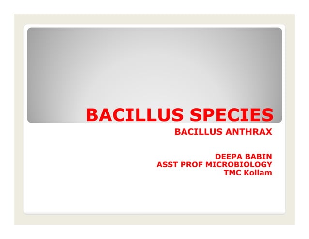 Anthrax ppt deepa | PPT