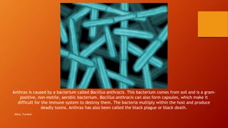 Anthrax in lions wip3 | PPT