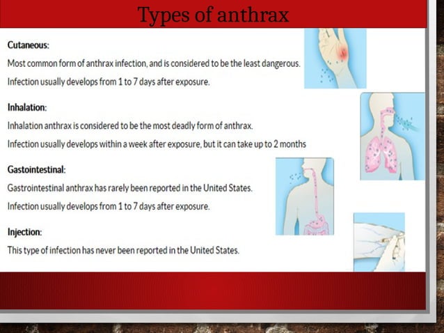 Anthrax disease and its preventionpptxxx | PPTX | Infectious Diseases | Diseases and Conditions