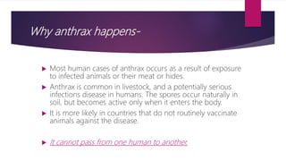 Anthrax ppt (Community).pptx