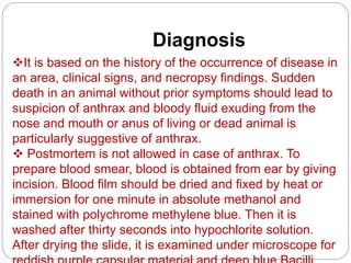 Anthrax presentation med 406 | PPTX