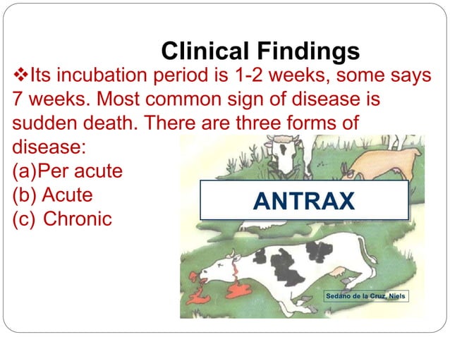Anthrax presentation med 406 | PPTX
