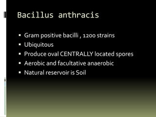 Anthrax | PPTX