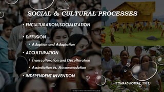 Anthropology - On Culture and Cultural Knowledge.pdf
