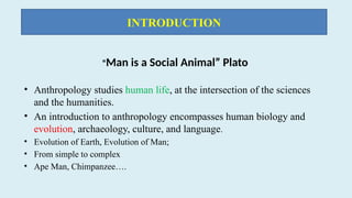 Anthropology definition and examples without any unnecessary things ...