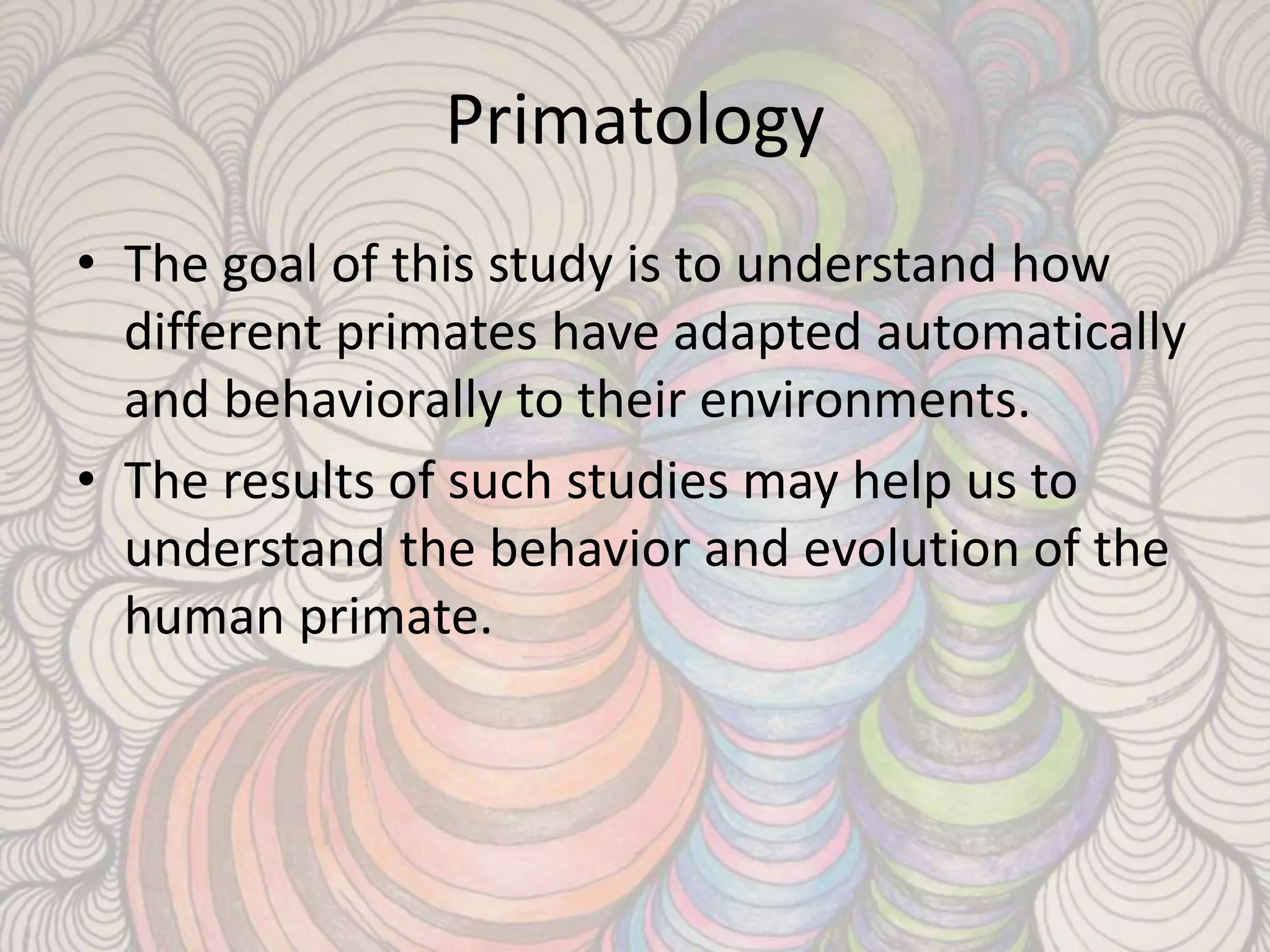 The Living Primates- Anthropology | PPTX