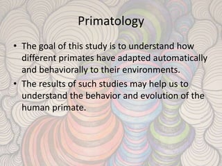 The Living Primates- Anthropology | PPTX