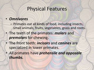 The Living Primates- Anthropology | PPTX