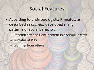 The Living Primates- Anthropology | PPTX