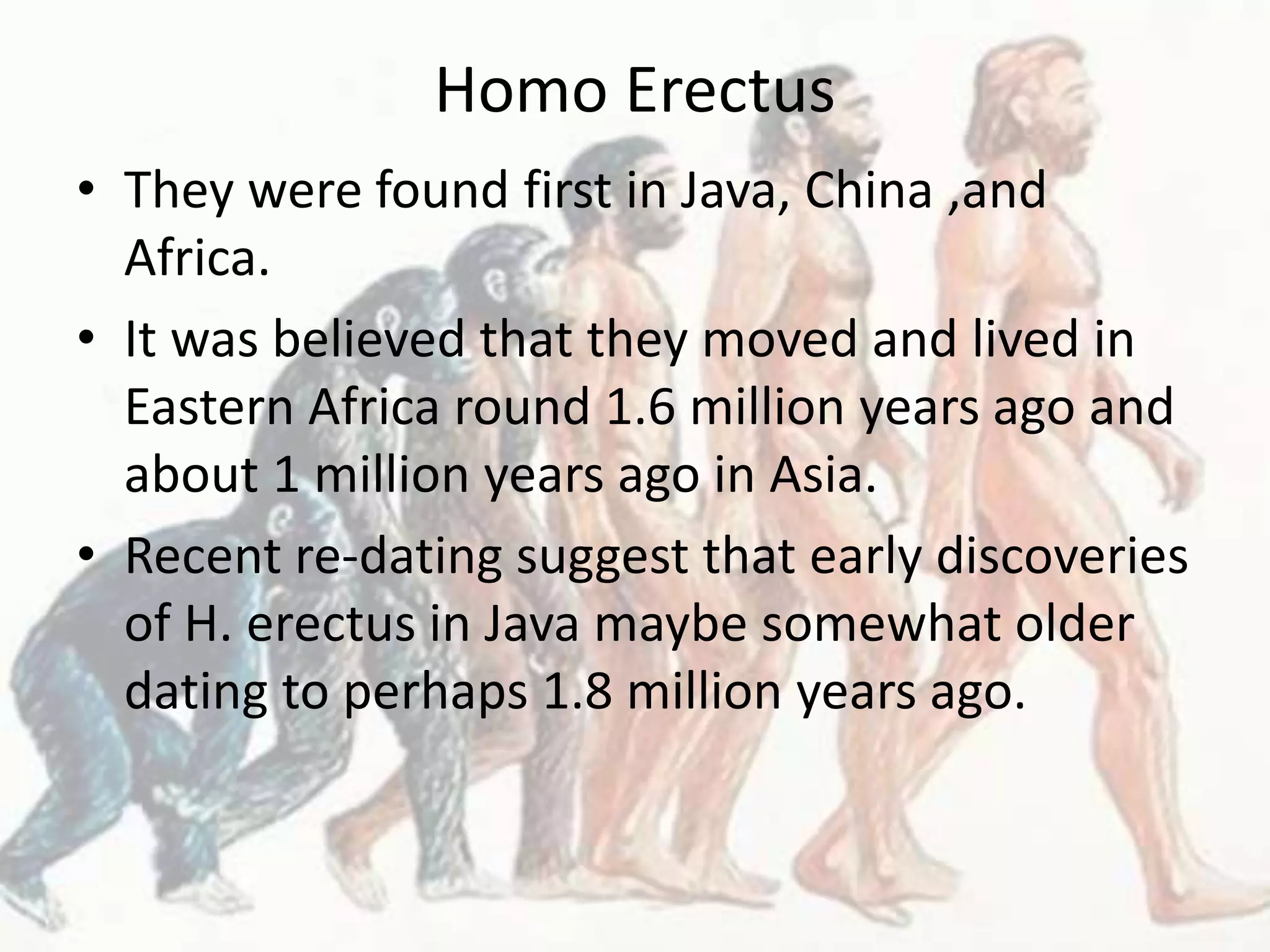 The Australopithecines- Anthropology | PPTX