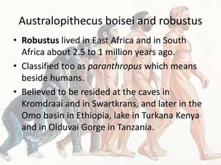 The Australopithecines- Anthropology | PPTX