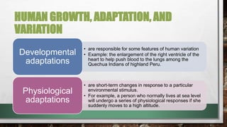 Anthro30 5 fields in antrhopology | PPTX