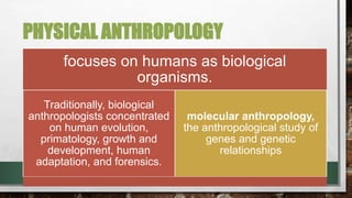 Anthro30 5 fields in antrhopology | PPT