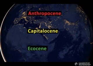 Naming the Epoch: Anthropocene, Capitalocene, Ecocene | PDF