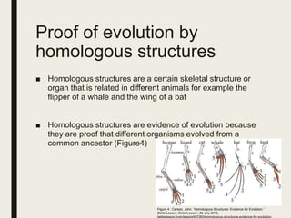 Anthropogenesis | PPTX