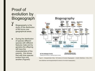 Anthropogenesis | PPTX