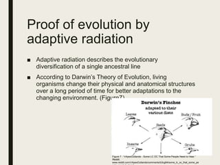 Anthropogenesis | PPTX